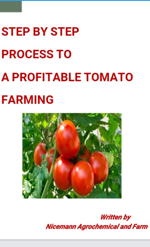 Buy Step by step process to a profitable tomato farming by Niceman Farm ...