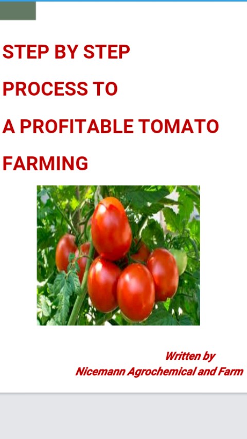 Buy TRAINING IN VEGETABLE FARMING by Niceman Farm on Selar
