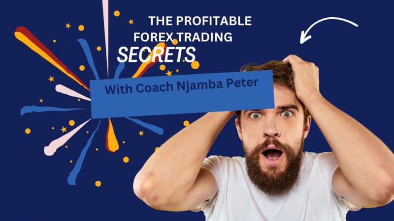 Buy The Profitable Trading Secrets (Njampa Peter Fx Mentorship Program by Njamba peter on Selar