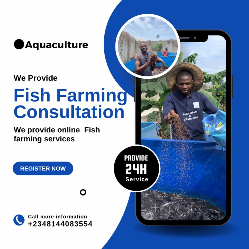 Buy Catfish Consultancy by Odoemenam Kenneth Chukwuma on Selar