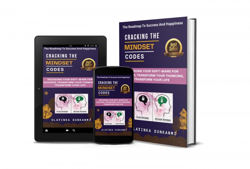 Buy CRACKING THE MINDSET CODES by Deintegrity Global on Selar