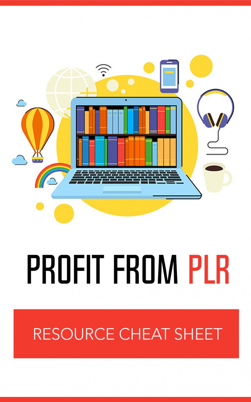 Buy Profit from PLR by Alale Digitalz on Selar
