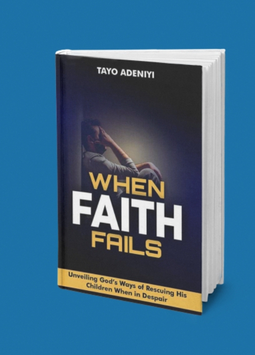 Buy WHEN FAITH FAILS: Unveiling God's Ways of Rescuing His Children ...