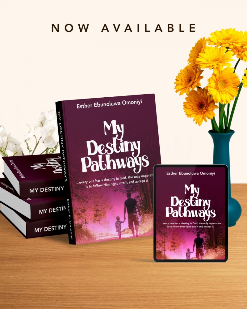 Buy My Destiny Pathways by Omoniyi Esther on Selar