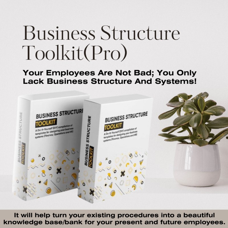 Buy Business Structure Toolkit (Pro) by Onumara Joshua Uche on Selar