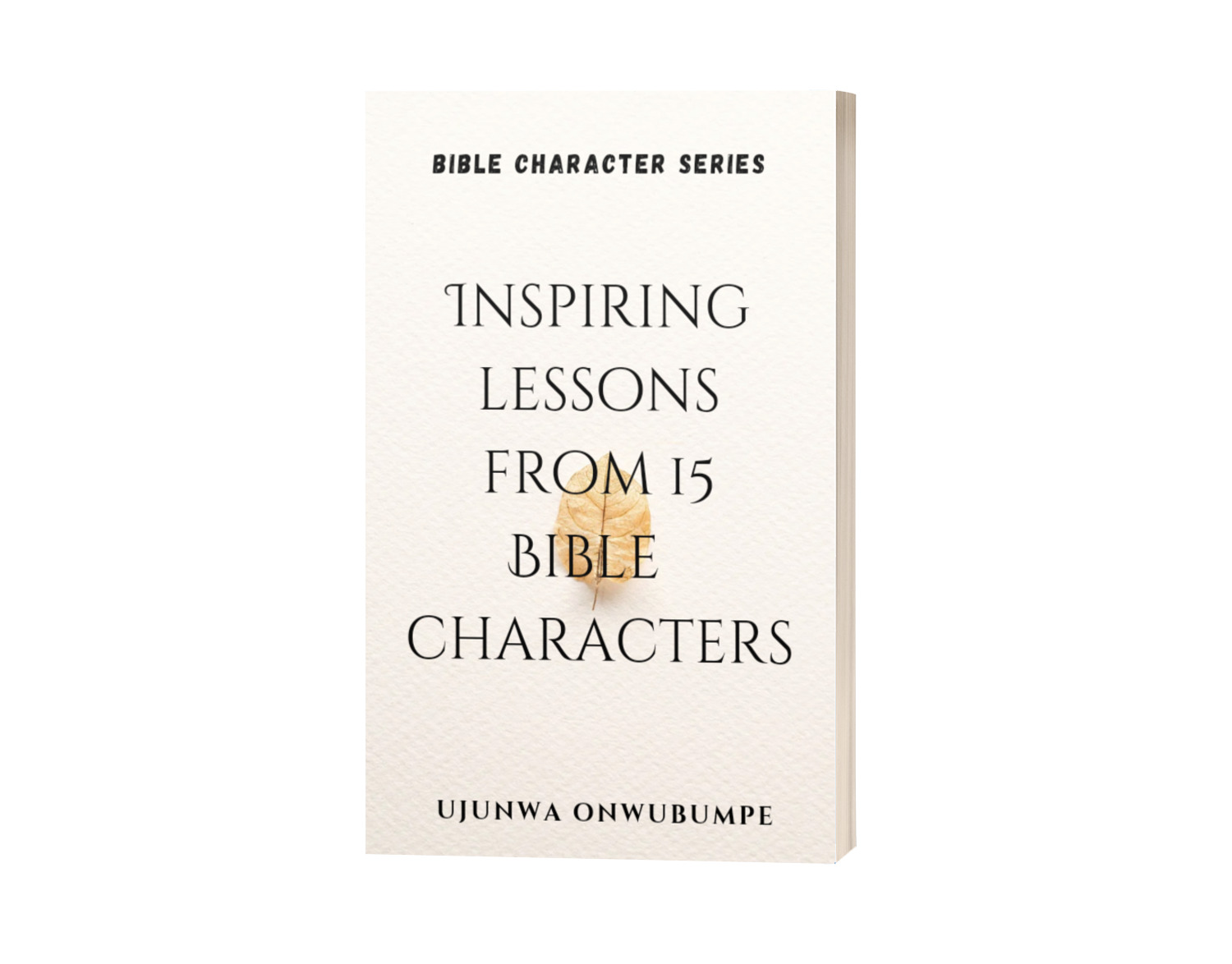 Get Inspiring Lessons from 15 Bible Characters by Onwubumpe Ujunwa Blessing on Selar