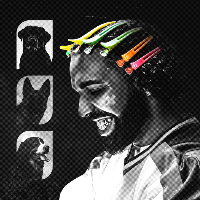 Buy Drake All For The Dogs Cover Art by Alfred Moses on Selar