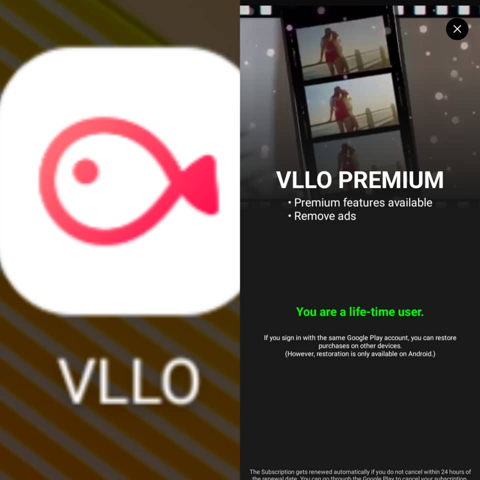 Buy VLLO PRO App by Pascal okonkwo on Selar