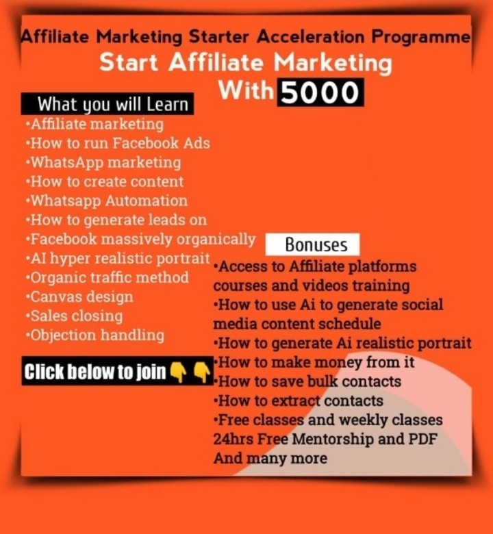 Buy Affiliate Marketing starter acceleration by Paul favour on Selar