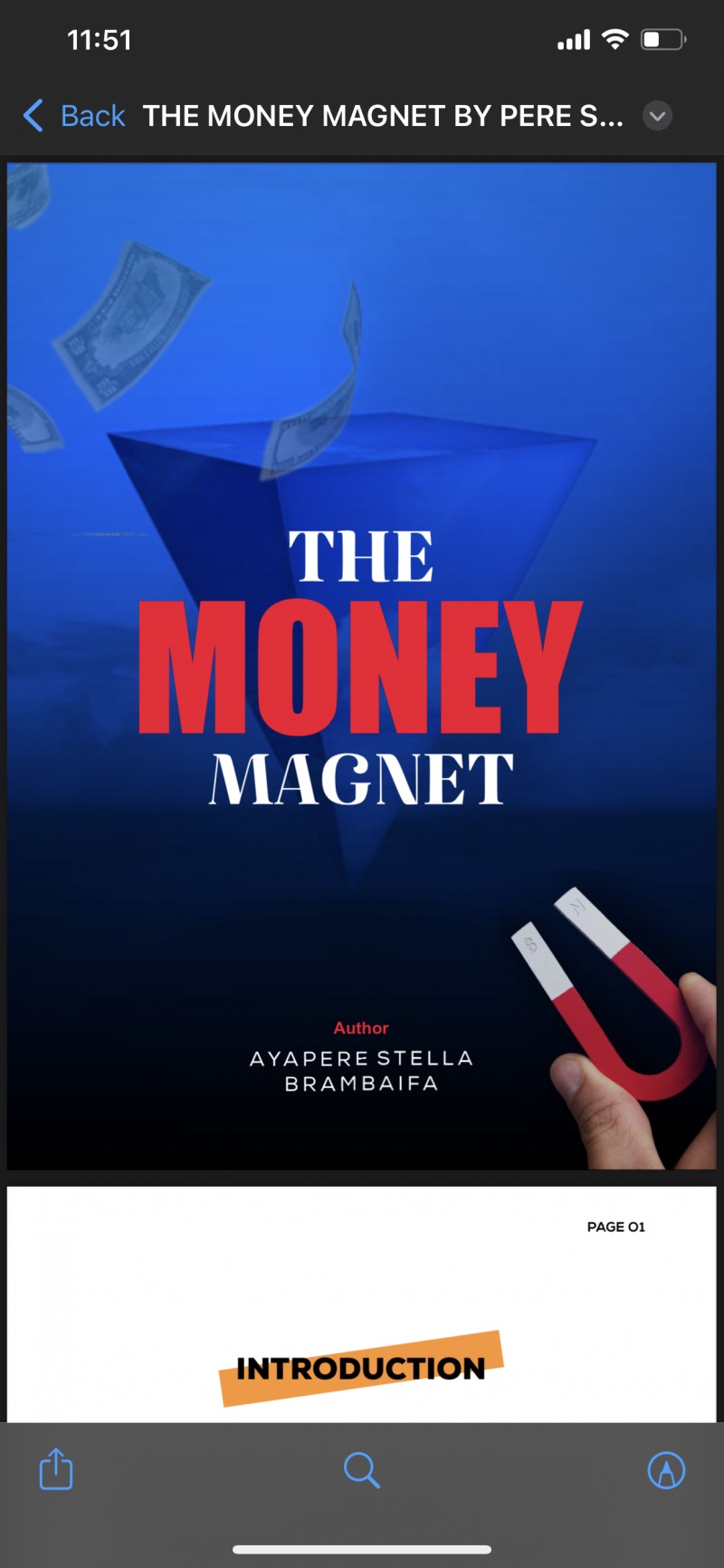 Buy THE MONEY MAGNET by Ayapere Brambaifa on Selar