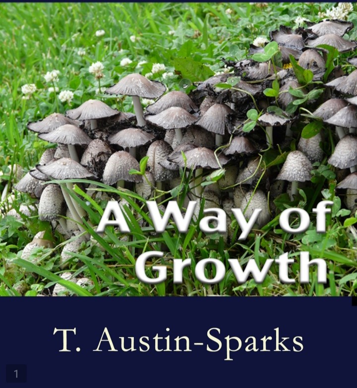 Buy The way of Growth 🪴 by Piersonpass on Selar