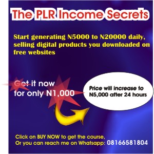Buy PLR Income Secrets by Sunshine Nedu on Selar