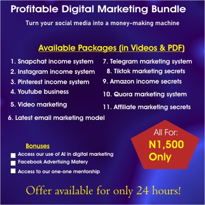 Buy Profitable Digital Marketing Bundle by Pivonet Technology on Selar