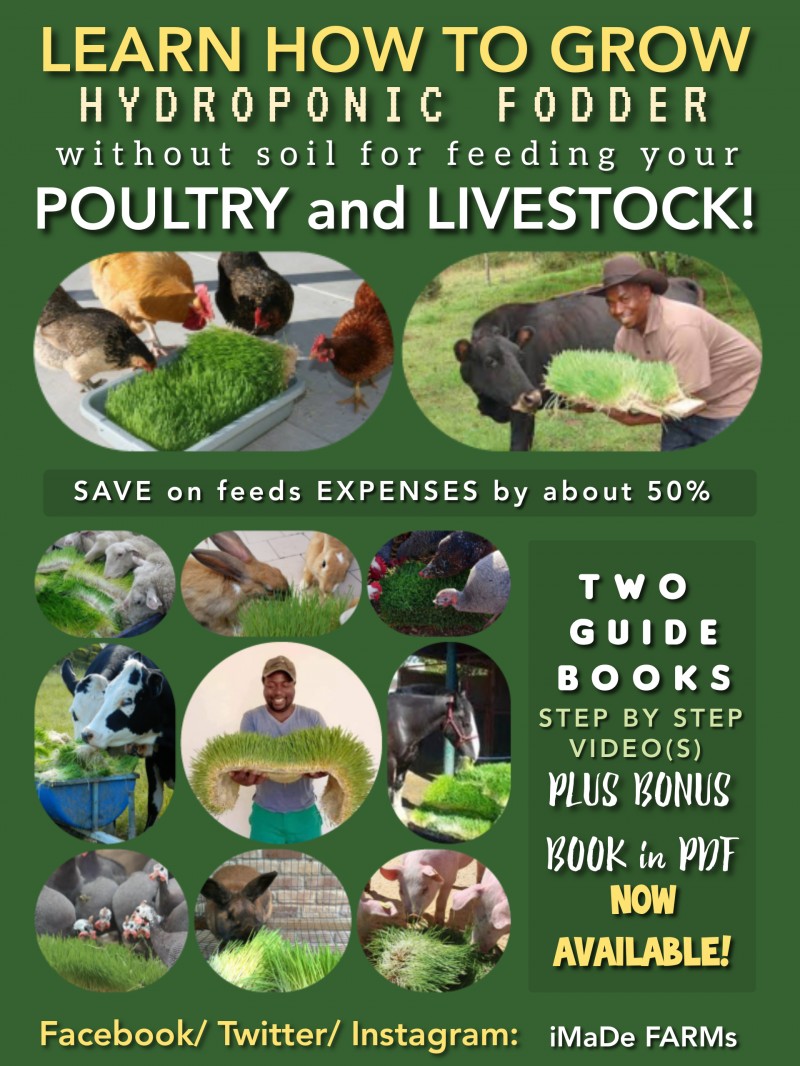 Buy Hydrophonic (Fodder) Farming Ebooks by Joseph Maina Mathenge on Selar
