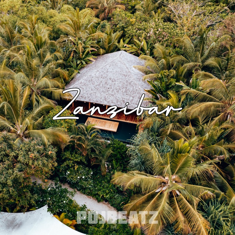 Buy (BEAT) ZANZIBAR Basic License by Pojbeatz on Selar