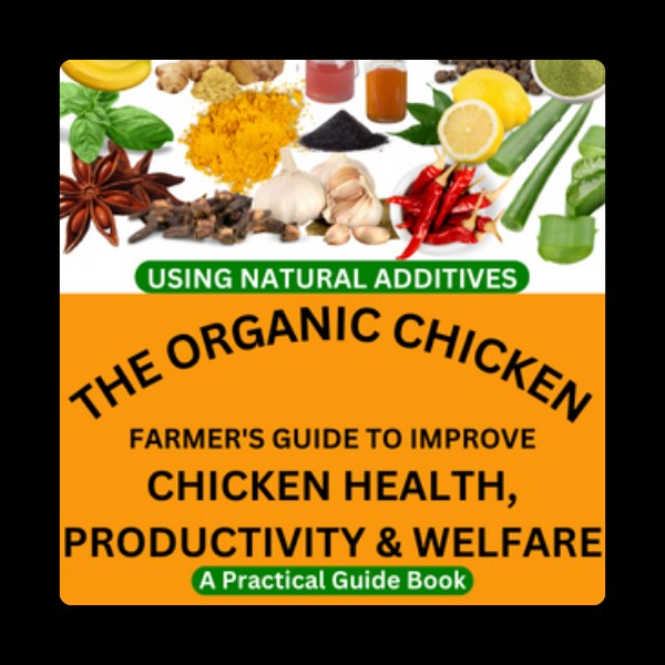 Buy THE ORGANIC CHICKEN FARMER'S GUIDE TO IMPROVE CHICKEN HEALTH ...