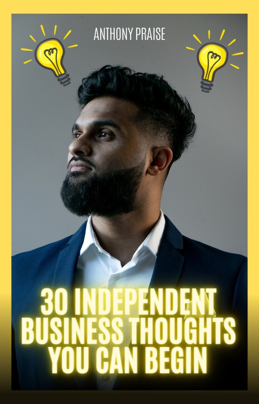 Buy 30 Independent Business Thoughts You Can Begin by Anthony praise on ...