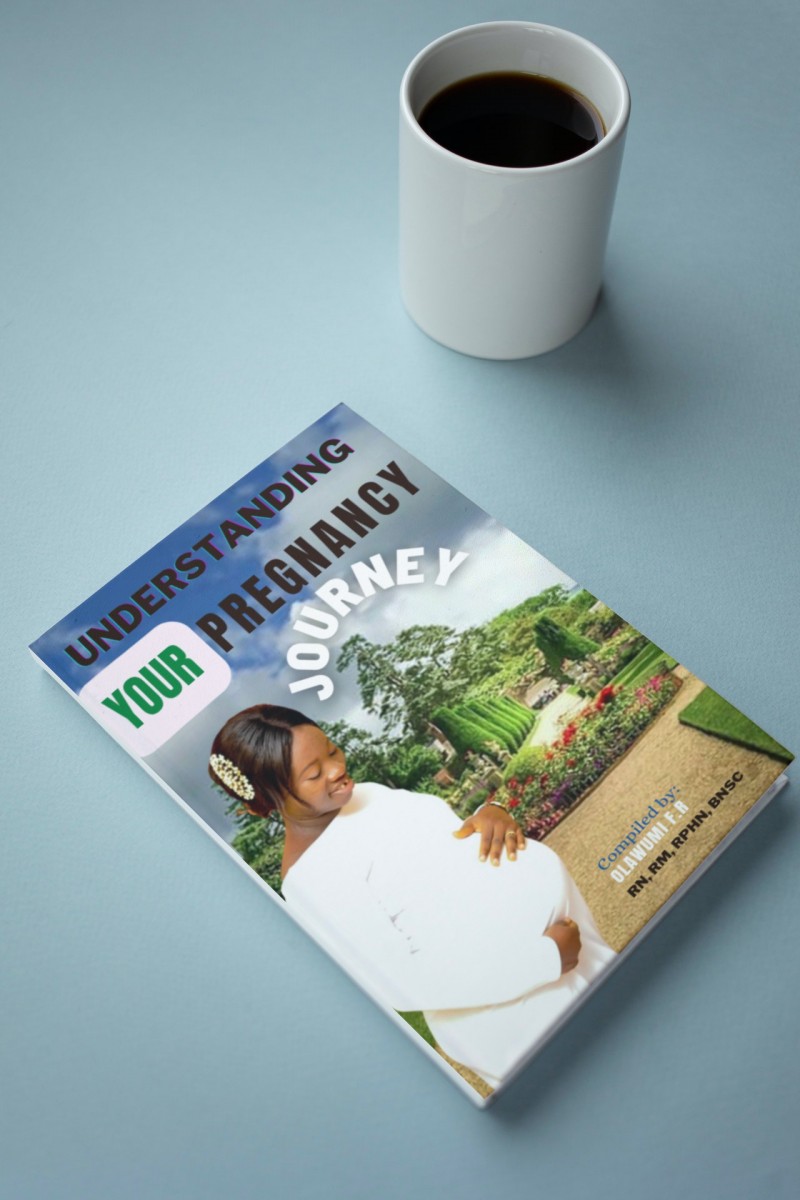 Buy UNDERSTANDING YOUR PREGNANCY JOURNEY by Lilly Pregnant Mom Class on ...