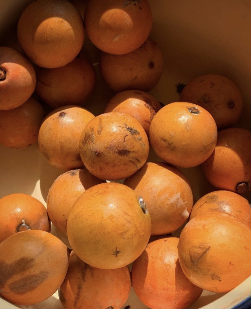 Buy 100 PIECES OF COTONOU ALANSA by Cotonou Alansa on Selar