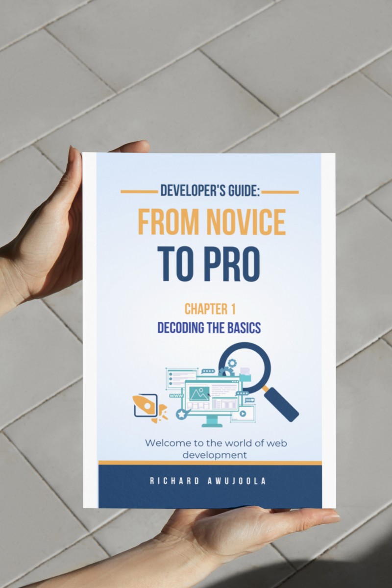 Buy Developer's Guide: From Novice to Pro (Chapter 1) by Richard ...