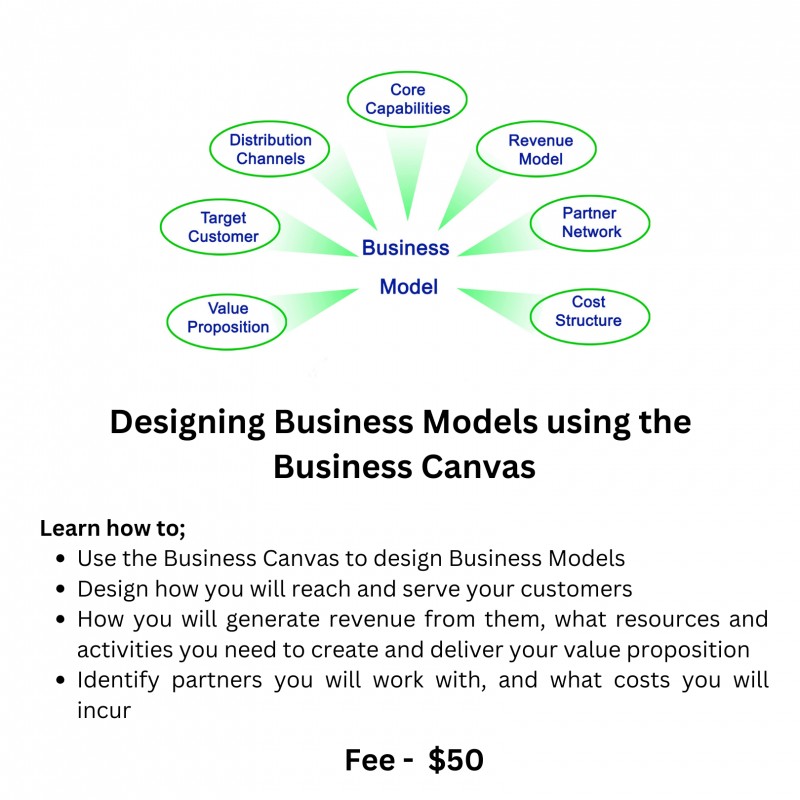 Buy Designing Business Model using the Business Canvas by School of Consulting on Selar