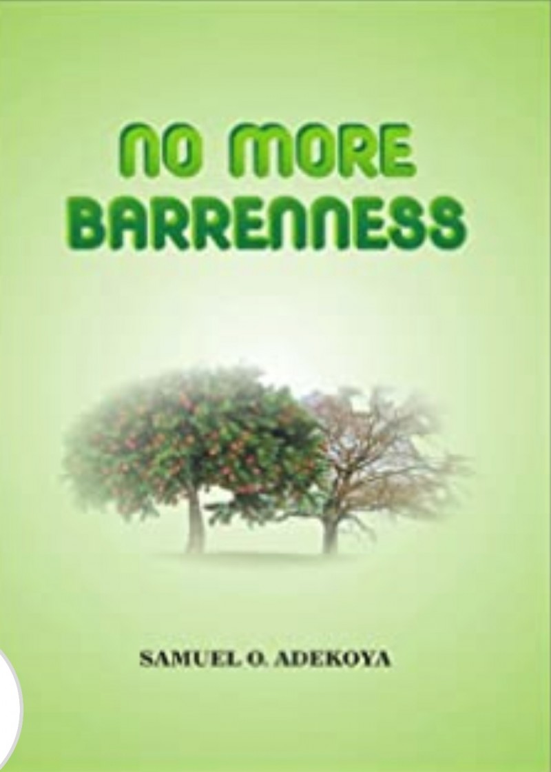 Buy NO MORE BARRENNESS by SAMUEL O. ADEKOYA on Selar
