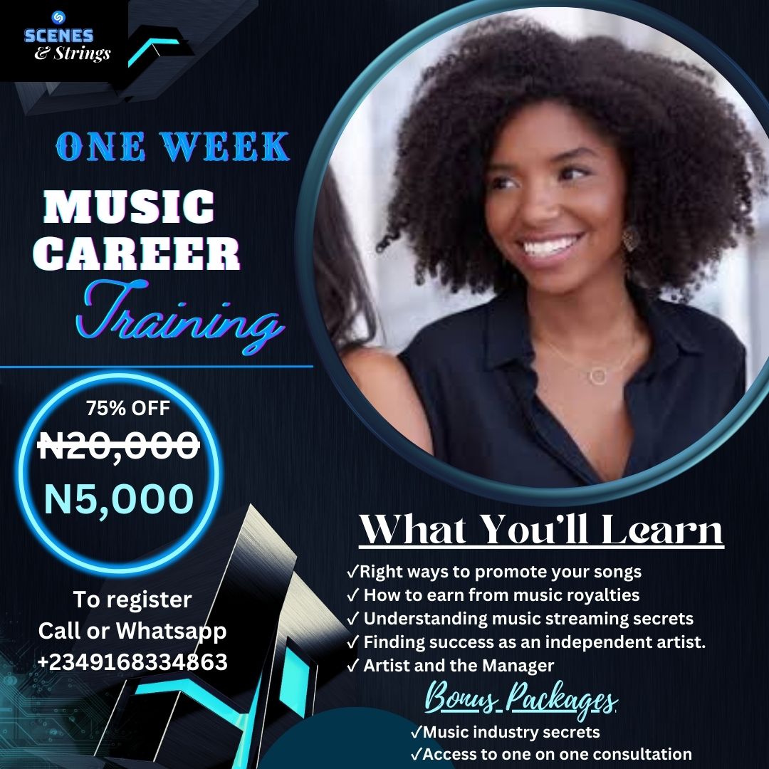 Get MUSIC PROMOTION - POSSIBLE WAYS THAT WORK FOR AN INDEPENDENT ARTIST ...