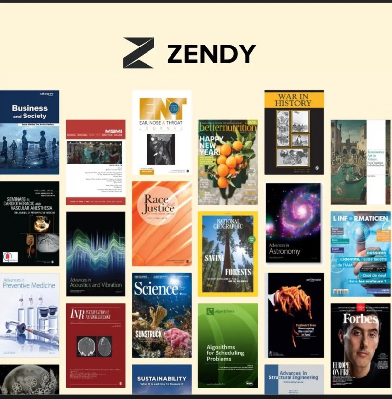 Buy Zendy by School Boy on Selar
