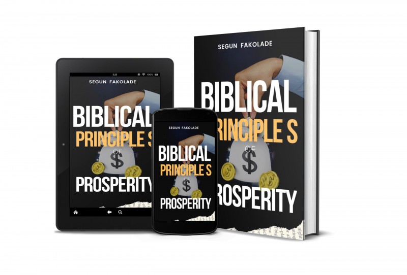 Buy BIBLICAL PRINCIPLES OF PROSPERITY by Segun Fakolade on Selar