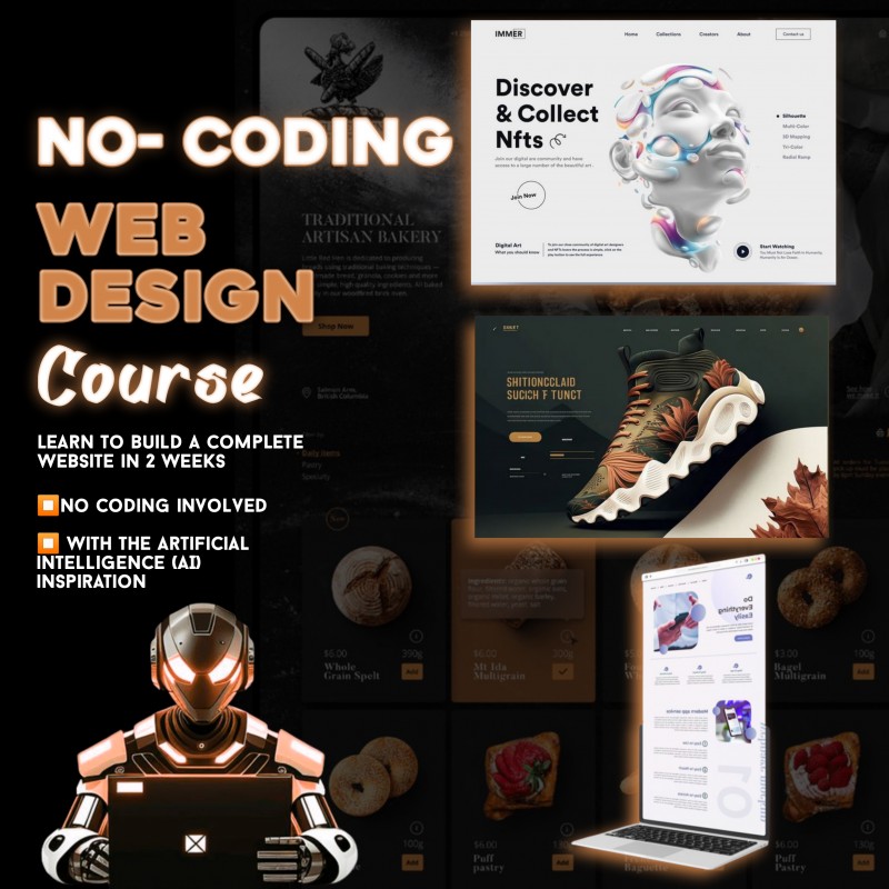 Buy No coding website design course by NANO TECH ACADEMY on Selar