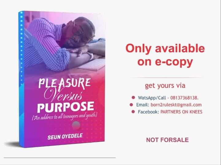 Get Pleasure Versus Purpose by Oluwaseun Oyeyemi Oyedele on Selar