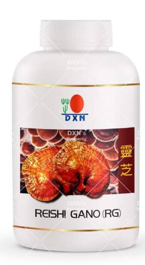 Buy REISHI GANO (RG) 360 CAPSULES by Shandralls Health and Wellness ...