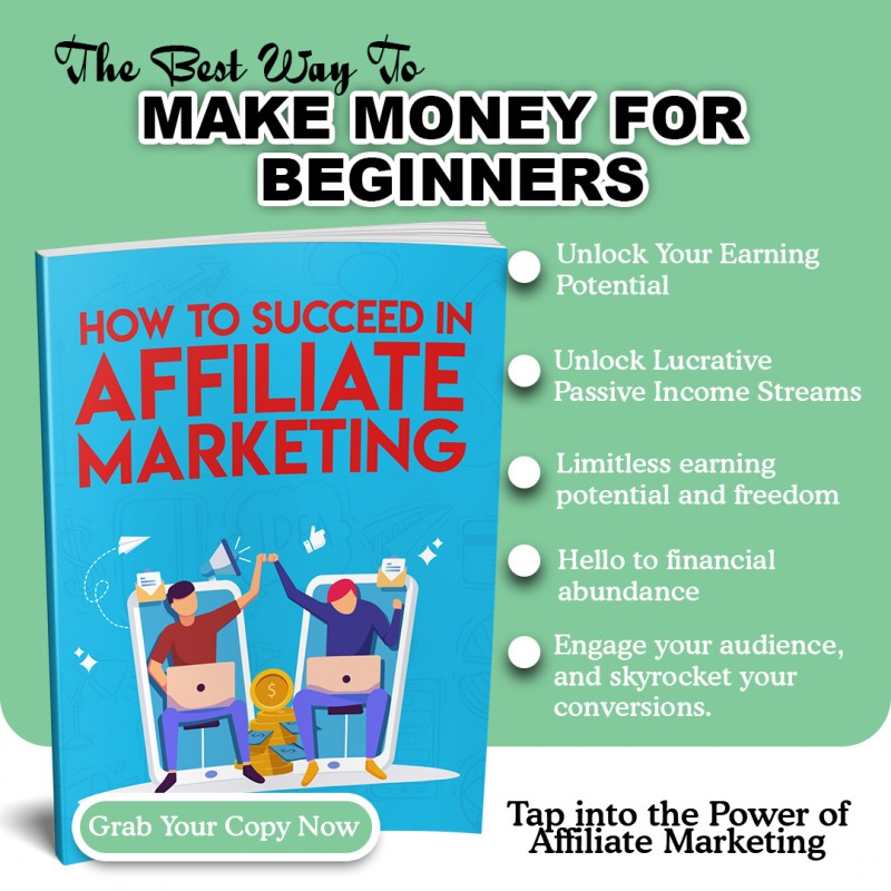 Buy How to Succeed in Affiliate Marketing: The Best Way To Make Money ...