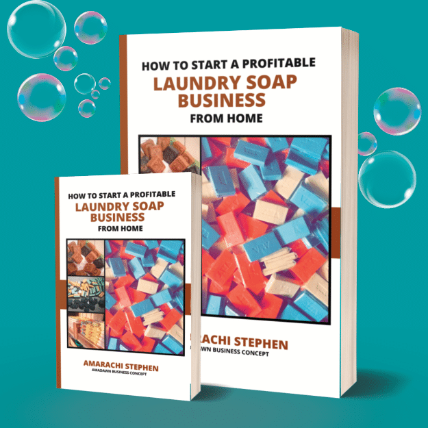 Buy HOW TO START A PROFITABLE LAUNDRY SOAP BUSINESS FROM HOME by ...