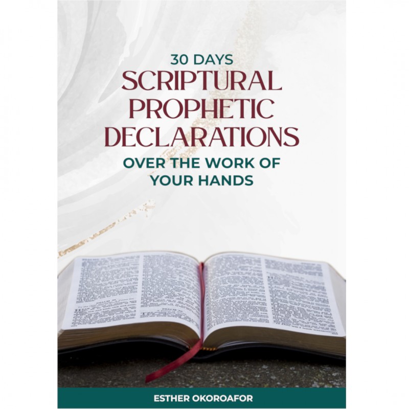 Buy 30 Days Scriptural Prophetic Declarations Over The Works of Your ...