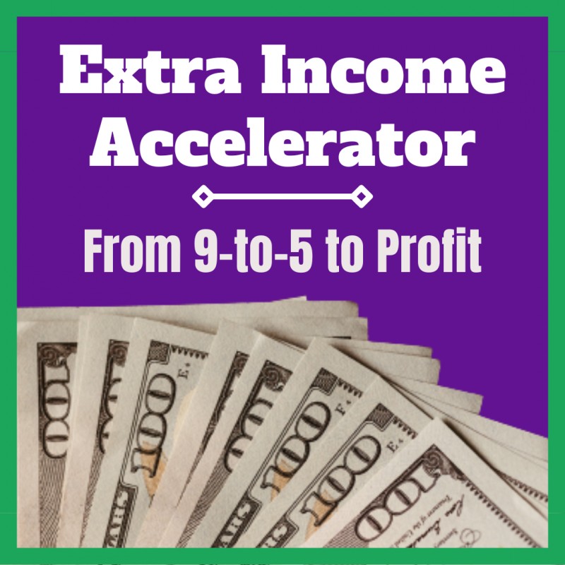 Buy Extra Income Accelerator - From 9-to-5 to Profit by The Result ...