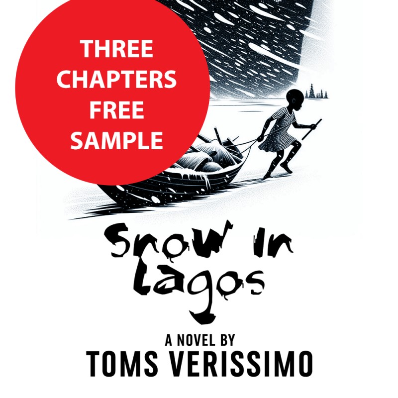 Get Snow In Lagos (Three Chapter Free Preview) by Tomasin Verissimo on ...