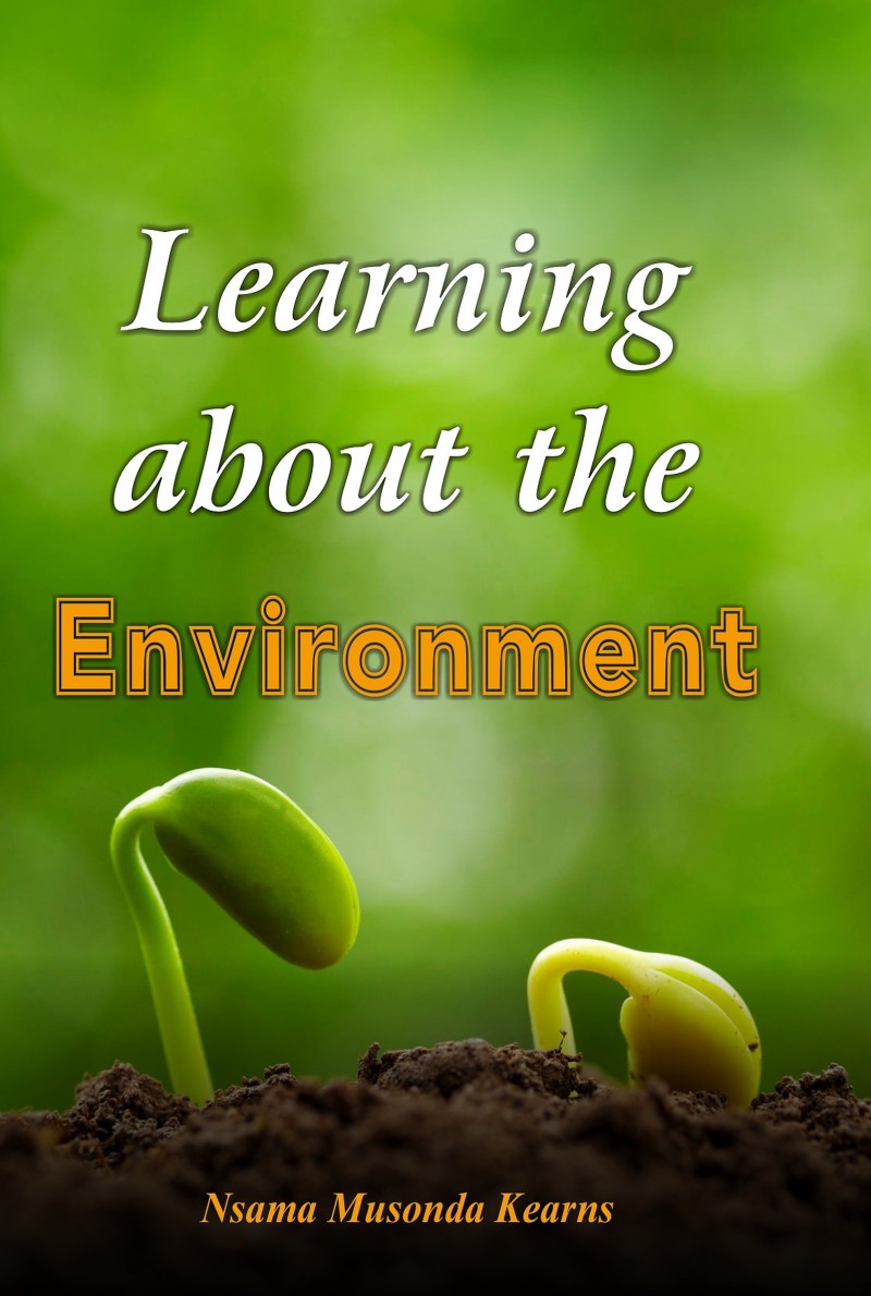 Buy Learning about the Environment by Vaquita Books on Selar