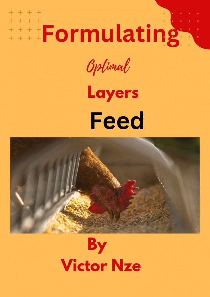 Buy Formulating Optimal Layers Feed by Nze victor on Selar