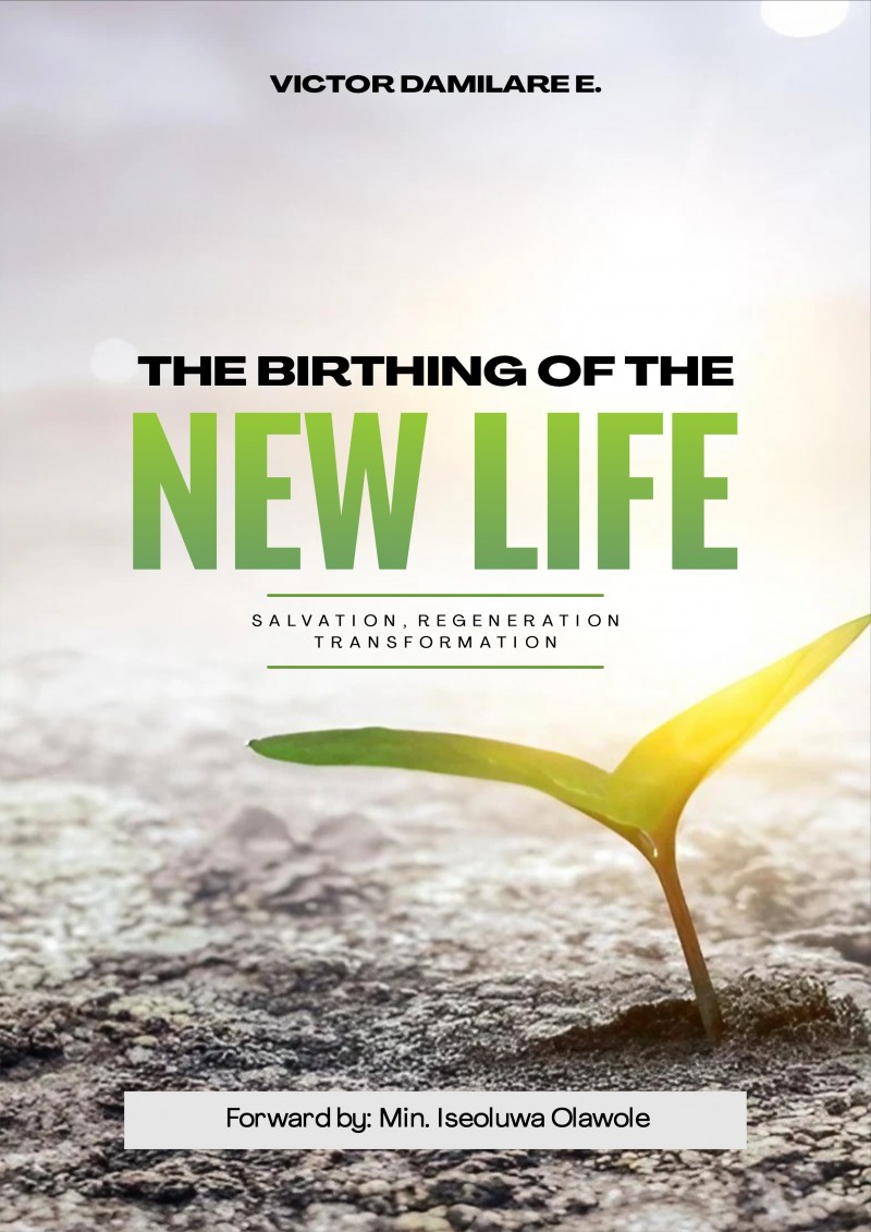 Buy THE BIRTHING OF THE NEW LIFE by Victor Damilare on Selar
