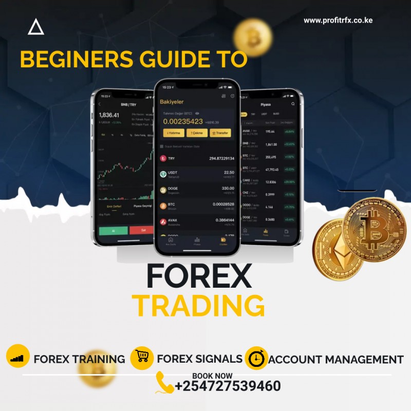 Buy ADVANCED FOREX, INDICES AND CRYPTO TRADING by VICTOR KARIUKI on Selar