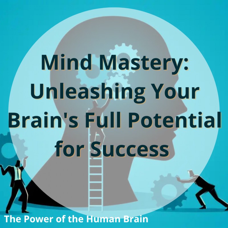 Buy Mind Mastery by FRIMS PROFESSIONAL WEB on Selar