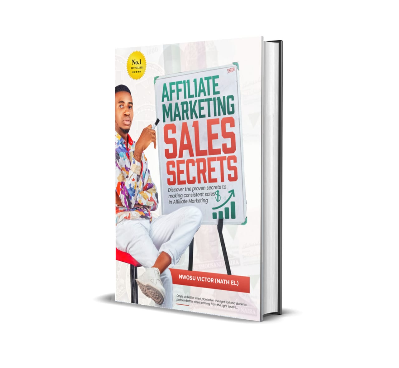 Buy Affiliate Marketing Sales Secret (AMSS) by Victor Nathel on Selar