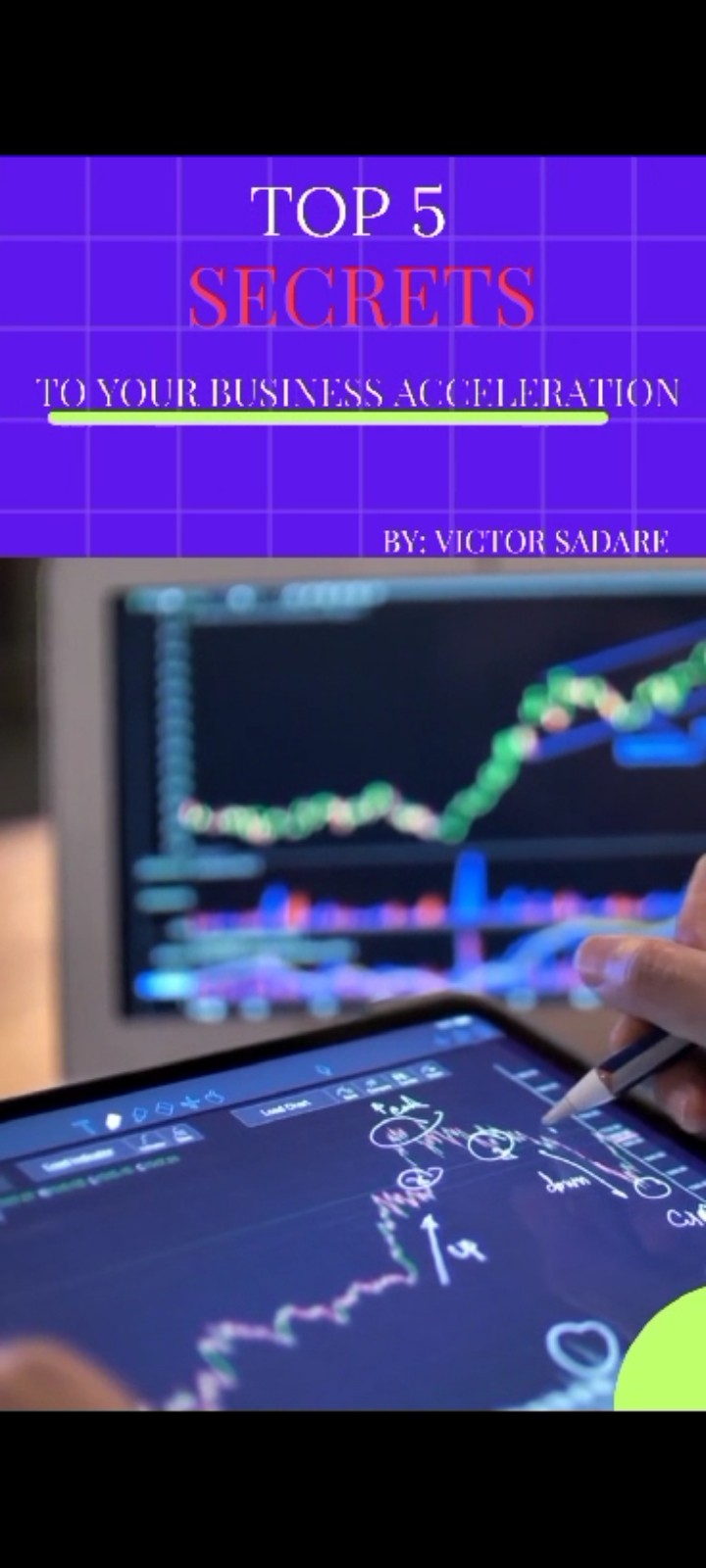 Buy Top 5 Secrets To Your Business Acceleration by Victor Sadare on Selar.co