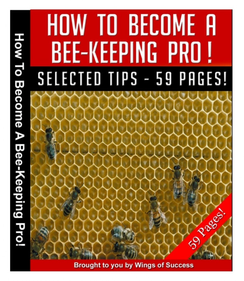 Buy HOW TO BECOME A BEE-KEEPING PRO! by Wilson Iyoha on Selar
