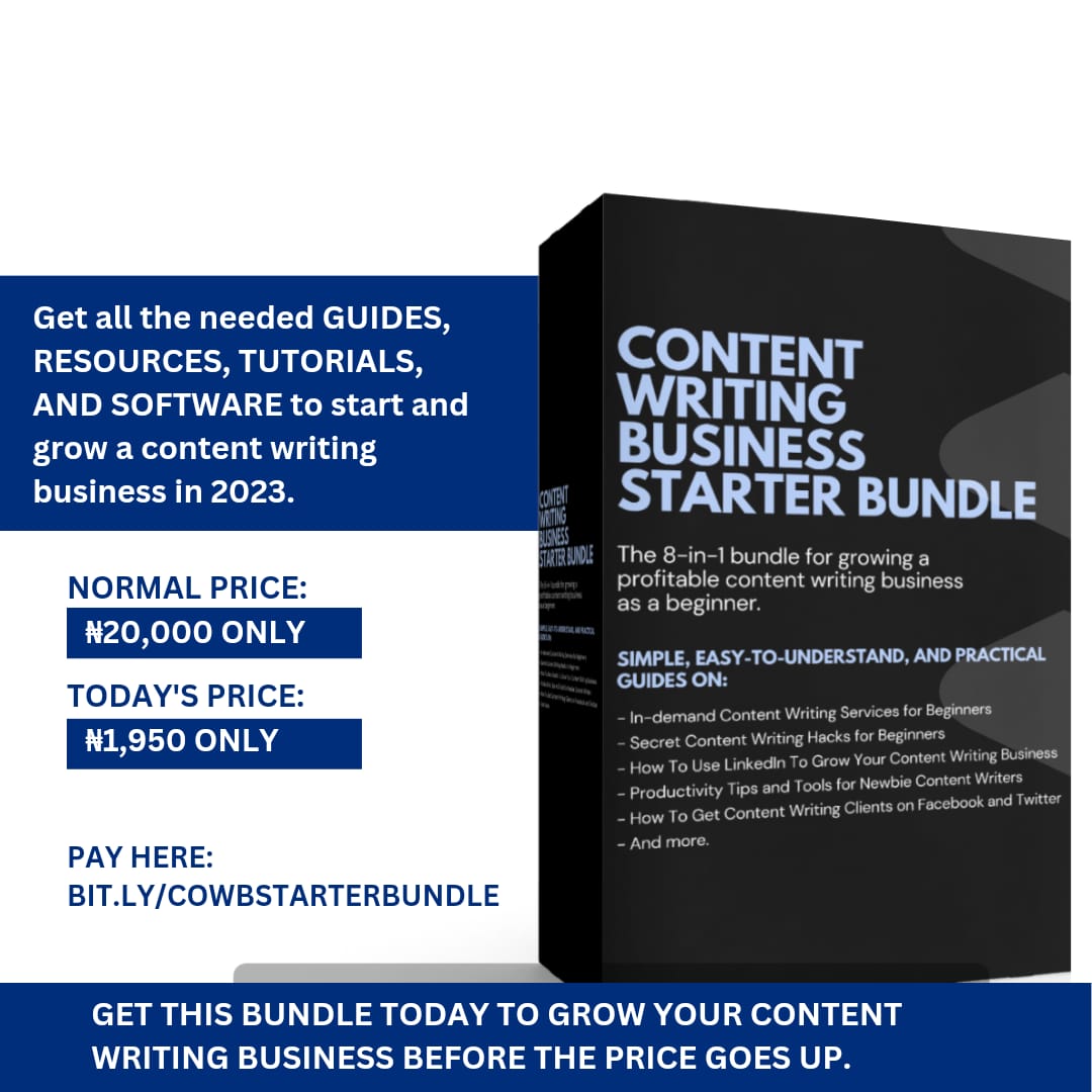 Buy Content Writing Business Starter Bundle by Winsome Academy on Selar