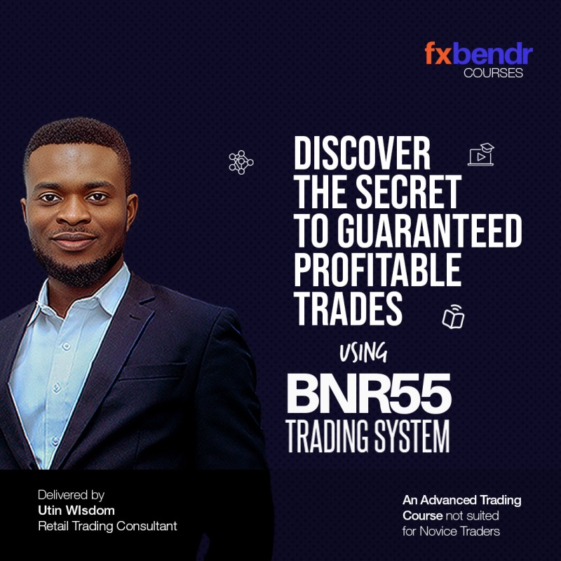 Get BNR55 Trading System by Wisdom Utin on Selar.co