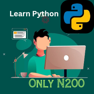 Buy Beginners Python Course by Ze King on Selar