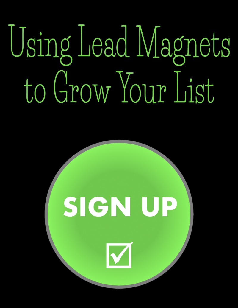 Buy Using Lead Magnets To Grow Your List By On Selar Buy Using Lead Magnets To Grow Your List By On Selar