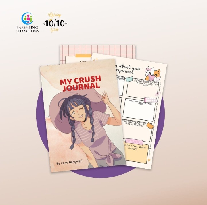 Buy The Crush journal by Irene Bangwell on Selar.co